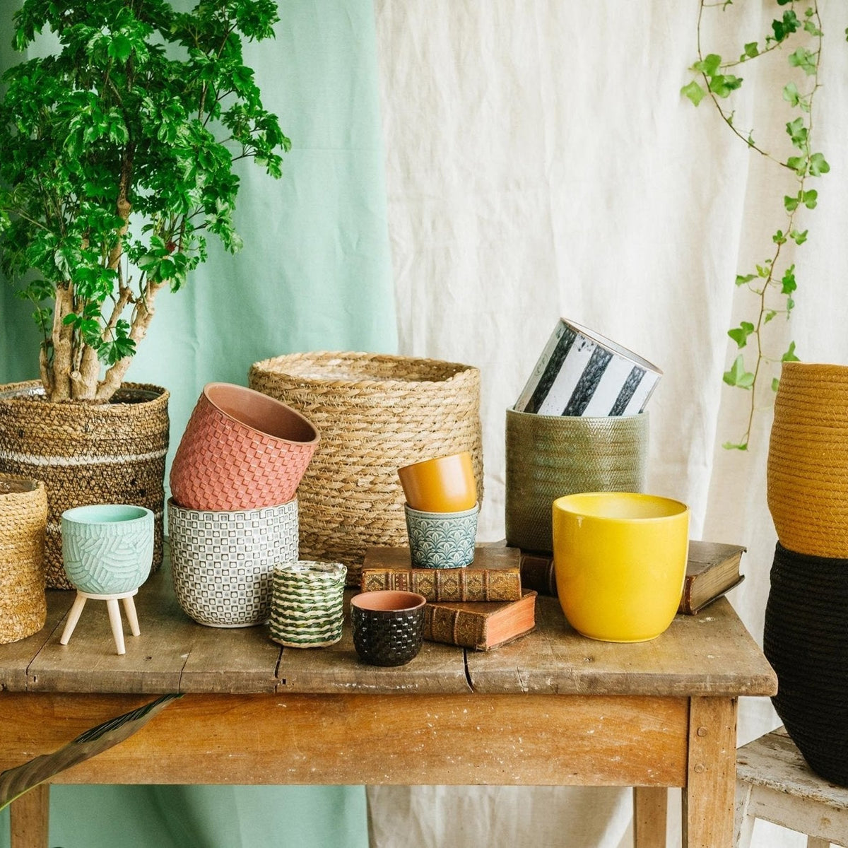Quels pots et cache-pots choisir ? – La Green Touch