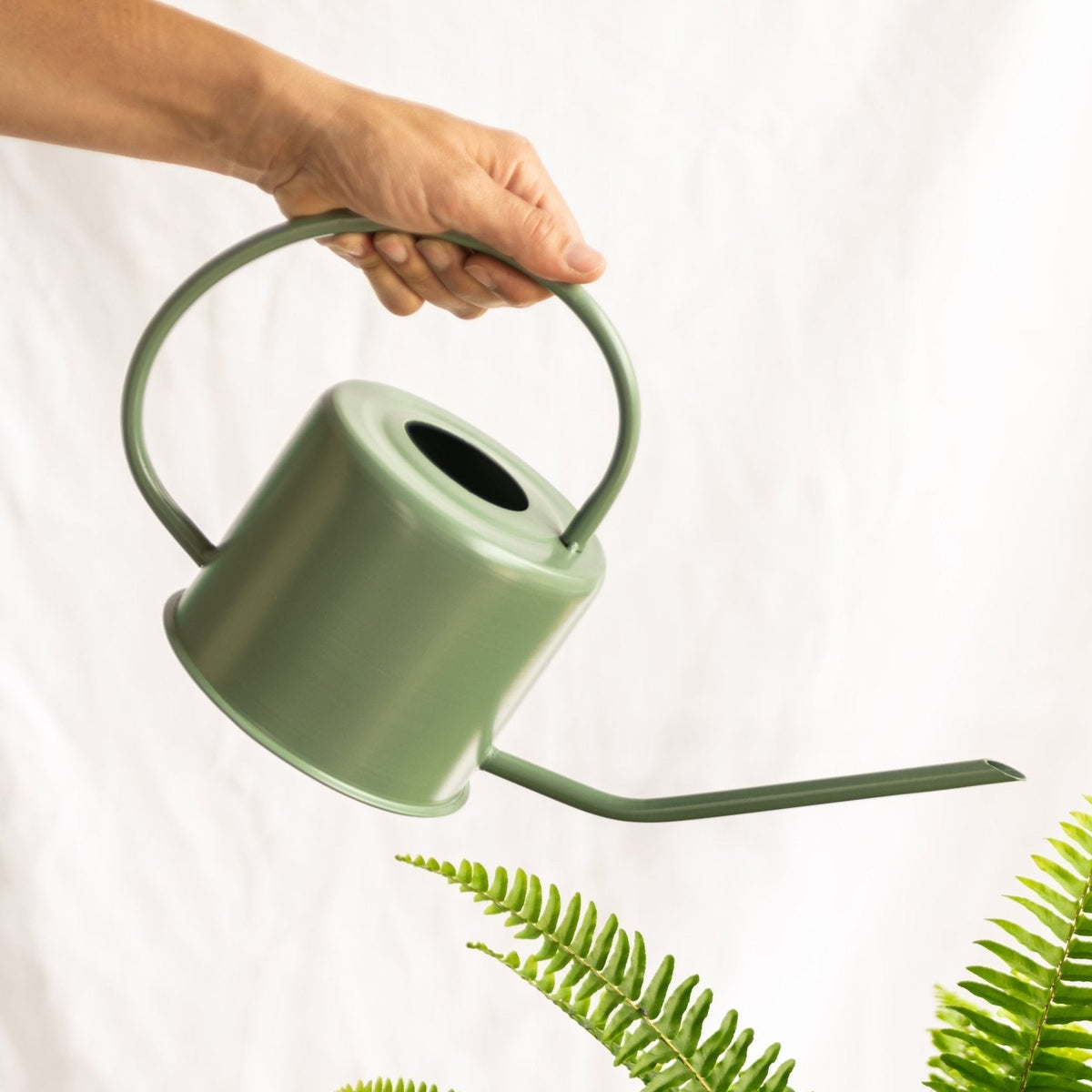 Arrosoir Vert pour Plantes et Semis - Long Bec Optimal