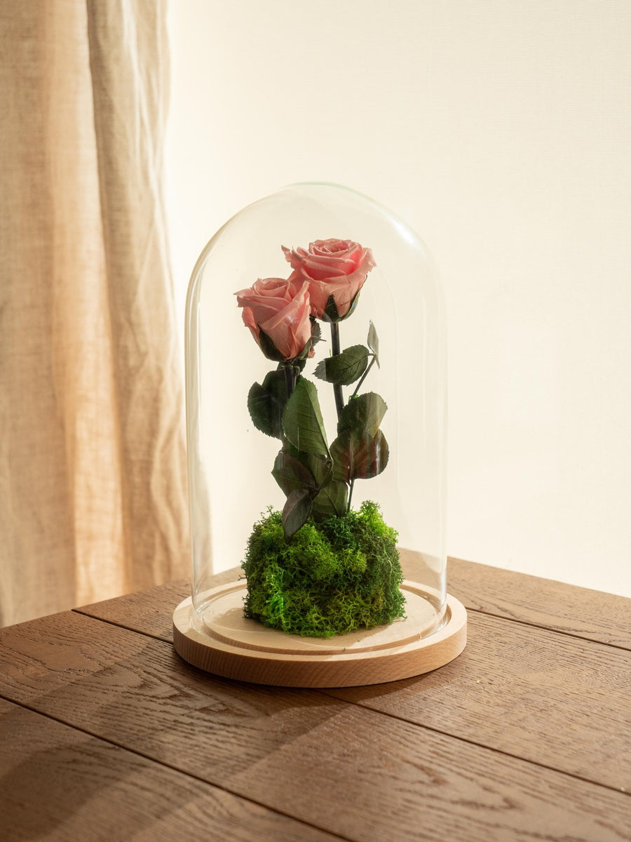 Composer son terrarium avec un Kit terrarium plante DIY – La Green Touch