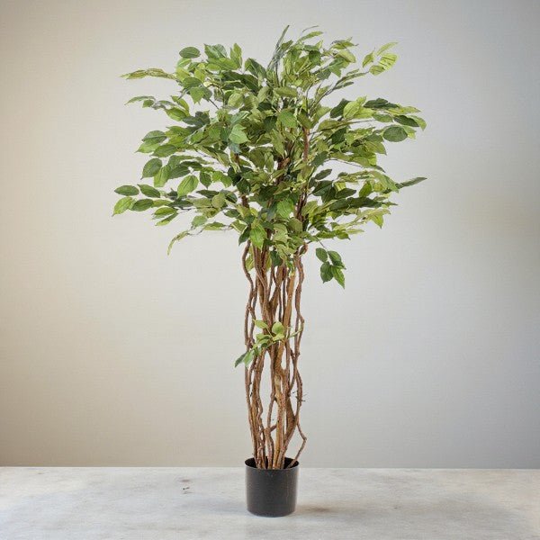 Ficus liane artificiel h140cm – La Green Touch