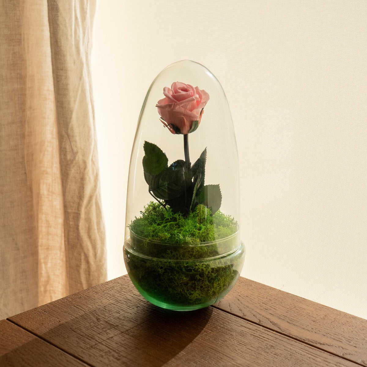 Terrarium Rose éternelle - Saint Valentin – La Green Touch